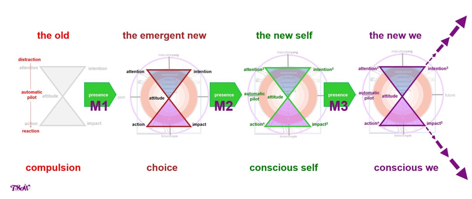 The path to consciousness - The School of We